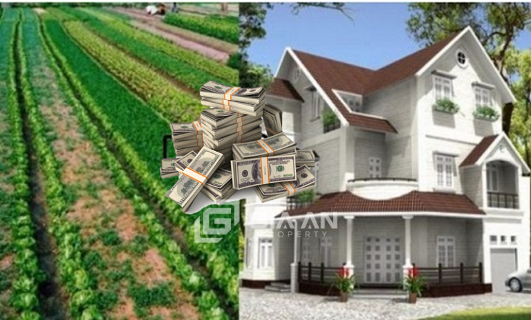 Đất HNK là gì? Đất HNK lên thổ được không?