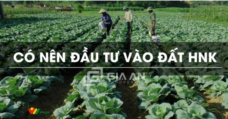 Đất HNK là gì? Đất HNK lên thổ được không?